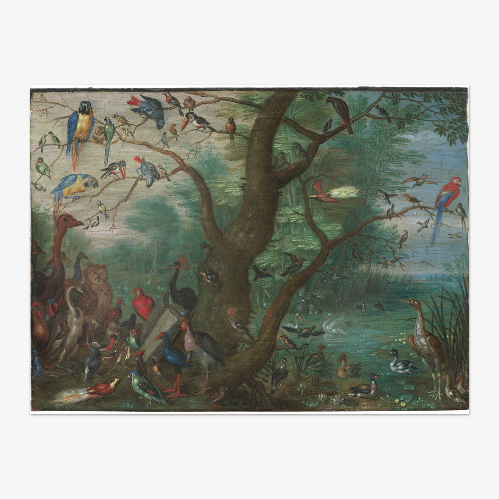 Circle of Jan van Kessel the Elder - Concert of Birds – monalisaprints