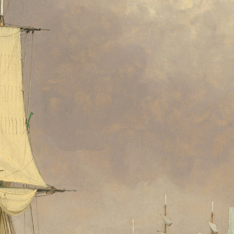 John Ward of Hull - The Northern Whale Fishery: The "Swan" and "Isabel ...