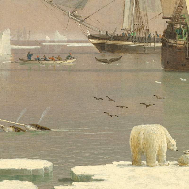 John Ward of Hull - The Northern Whale Fishery: The "Swan" and "Isabel ...