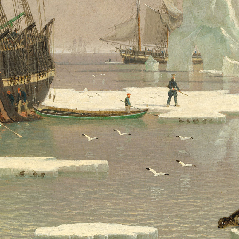 John Ward of Hull - The Northern Whale Fishery: The "Swan" and "Isabel ...